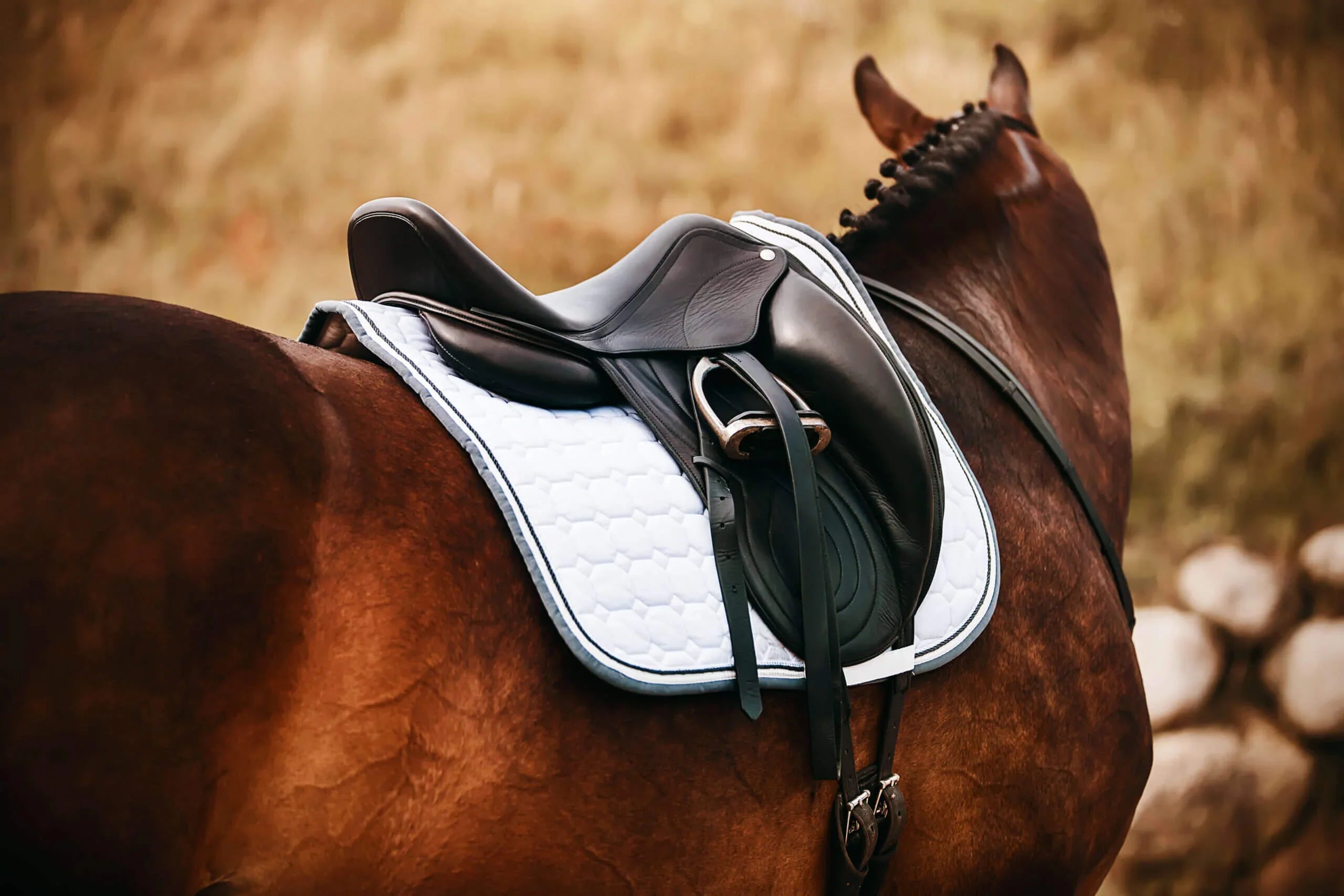 High-Quality English Saddles for Riders – Tack N More
